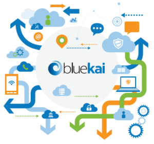Industry’s leading cloud-based big data platform-Oracle Bluekai | 4i