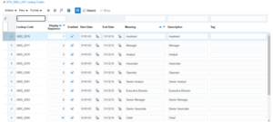 Efficiently Load bulk Lookup Values using ORACLE FUSION HCM’s New ...